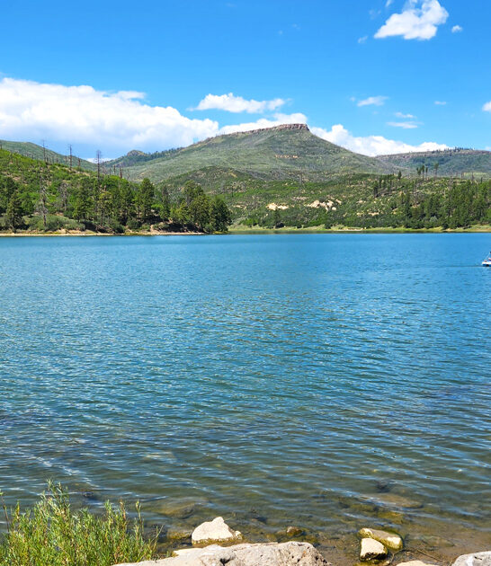 park new mexico stunning ftr