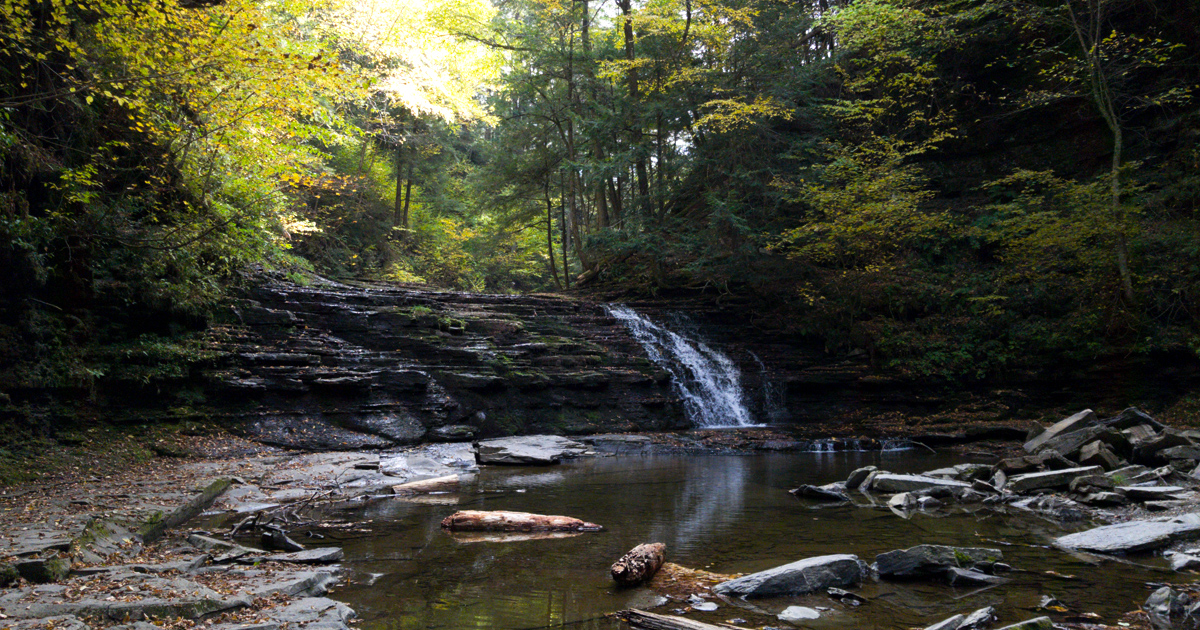 This Scenic State Park In Pennsylvania Is So Little-Known, You'll ...