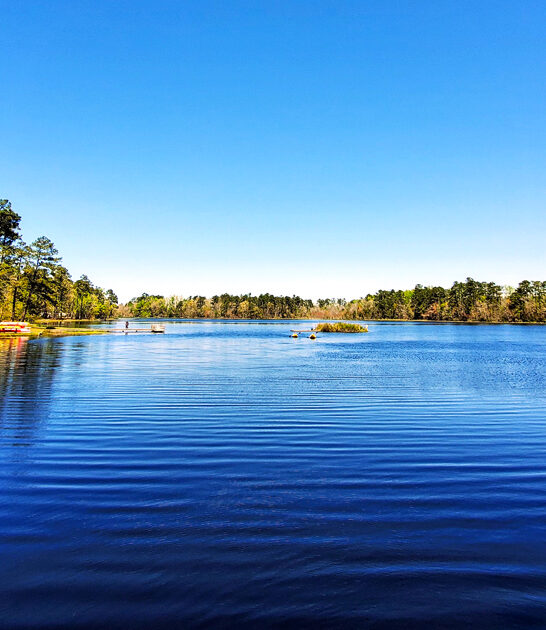 park south carolina dream FTR