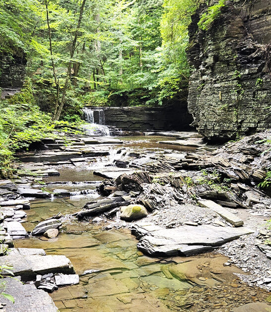 park state new york ftr