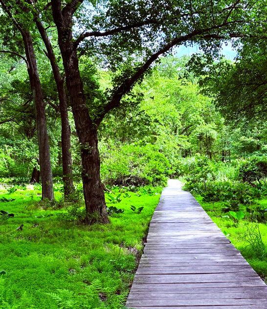 park wondrous new jersey ftr