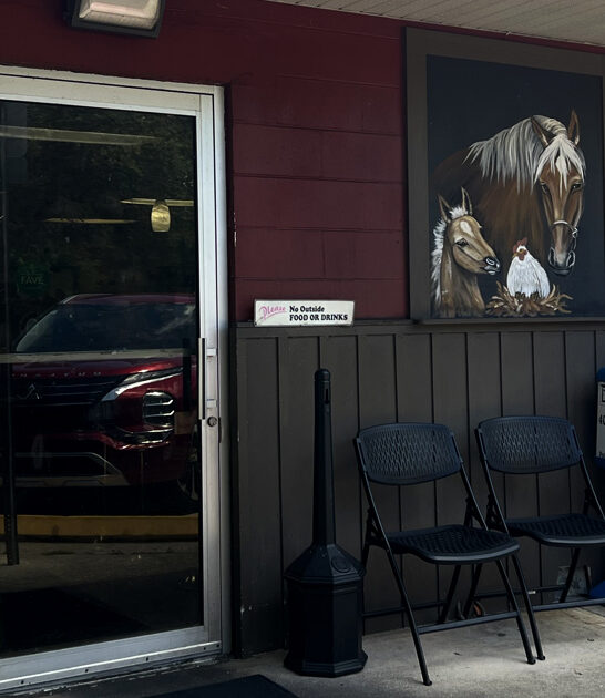 patty melt florida trip ftr