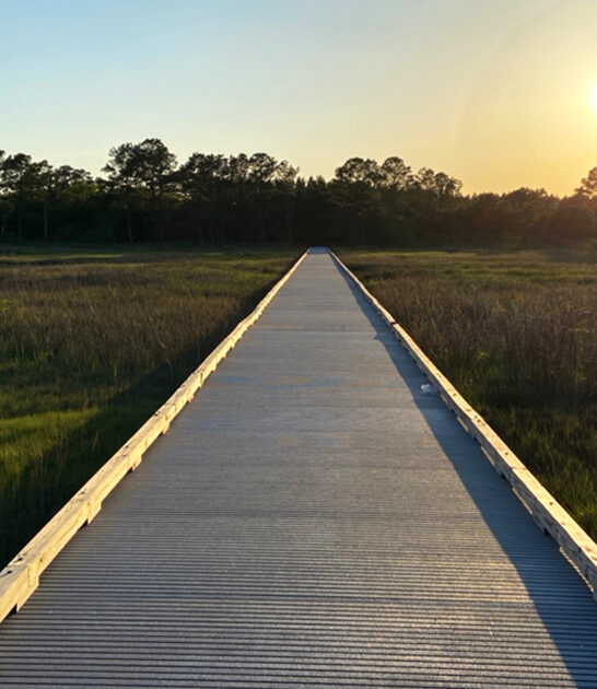 peaceful park delaware melt ftr