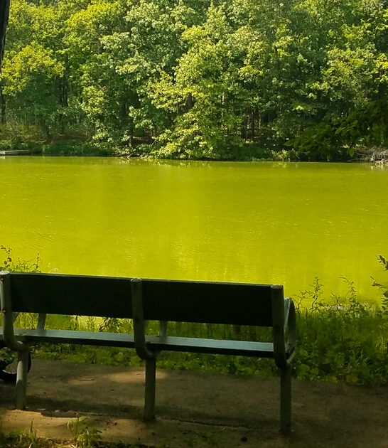 peaceful park illinois melt ftr