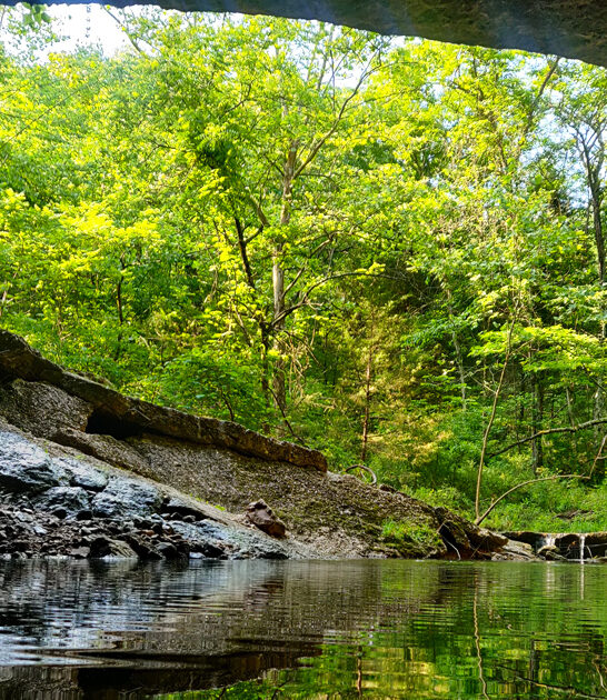 peaceful park missouri serene FTR