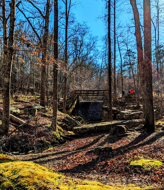 peaceful state park mississippi ftr