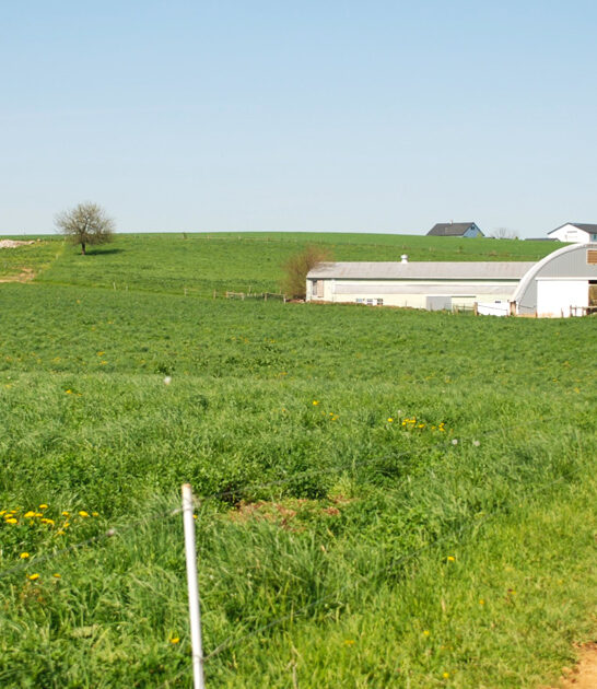 pennsylvania gorgeous dreamy farm ftr