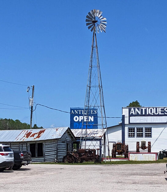 people drive florida market ftr