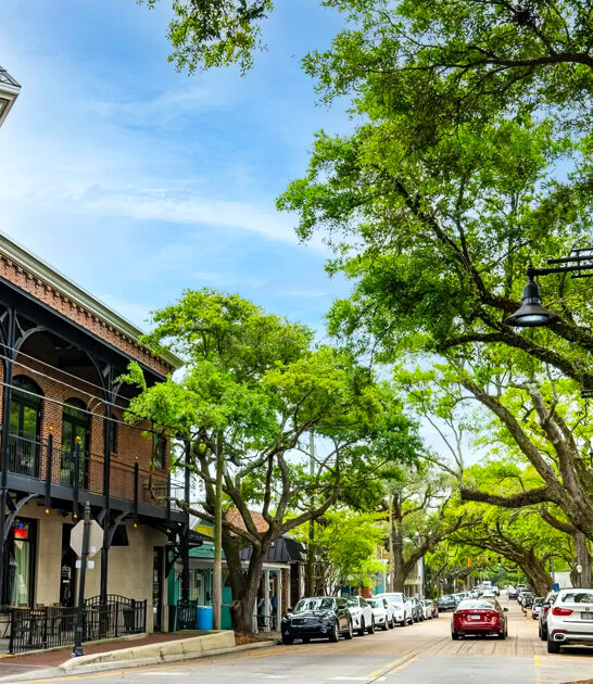 perfect local trips mississippi ftr