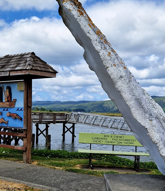 perfect trip attraction washington ftr