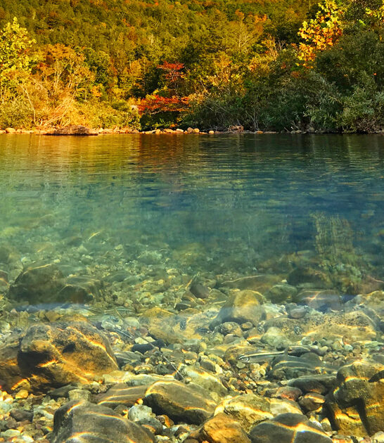 photogenic nature spot missouri ftr