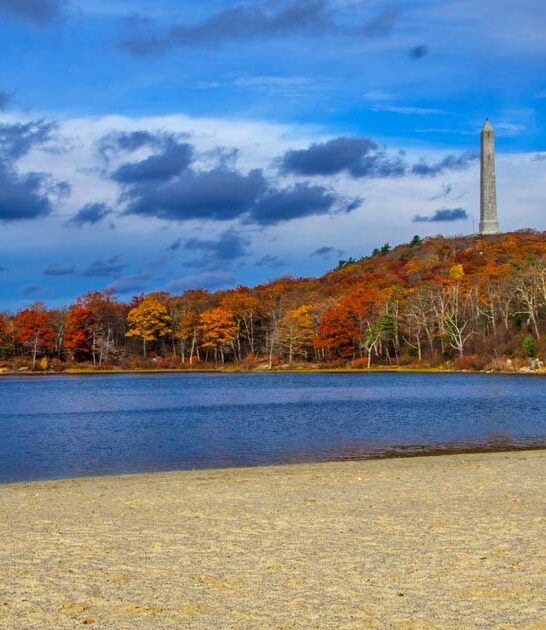 photogenic new jersey park ftr