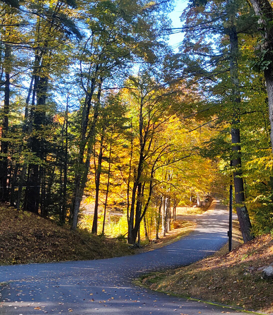 photogenic unique park massachusetts ftr
