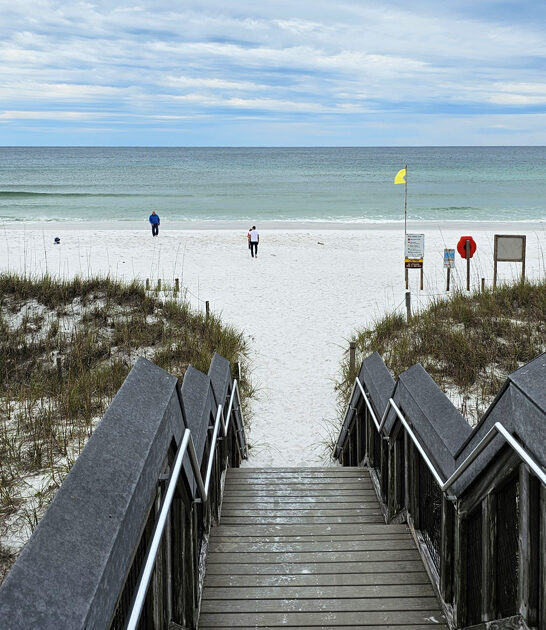 picture perfect florida locals ftr