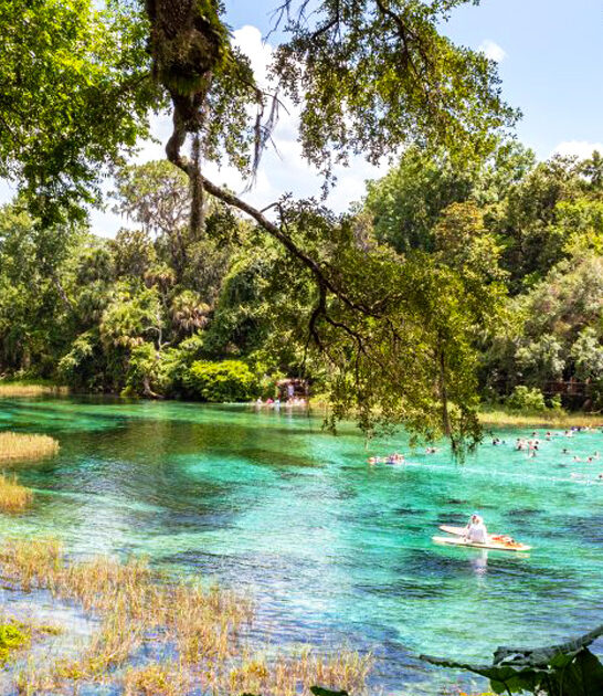 picture perfect spring florida ftr