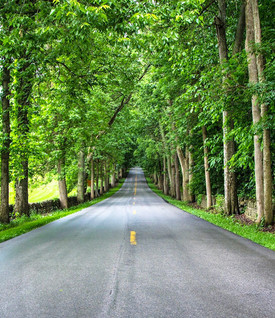 picturesque kentucky scenic drive ftr