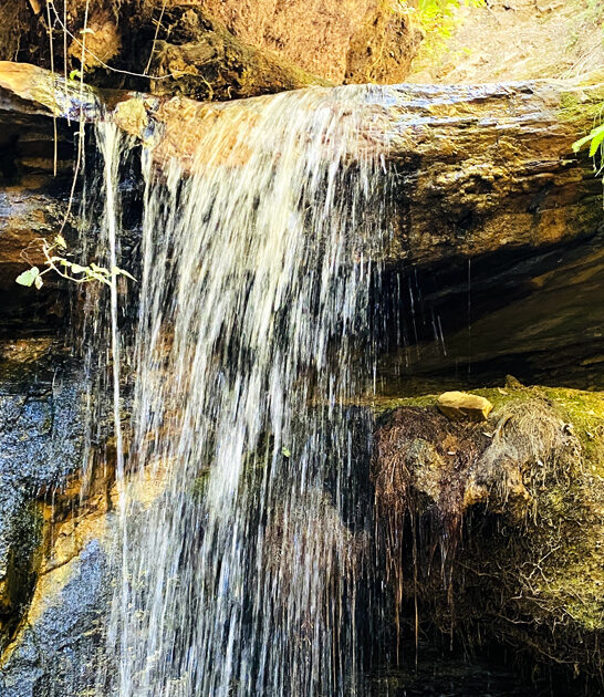 picturesque park california gentle FTR