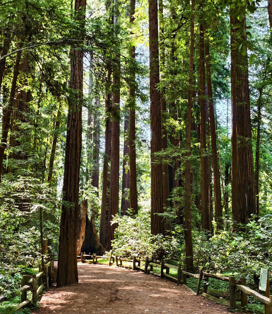 picturesque park california make ftr