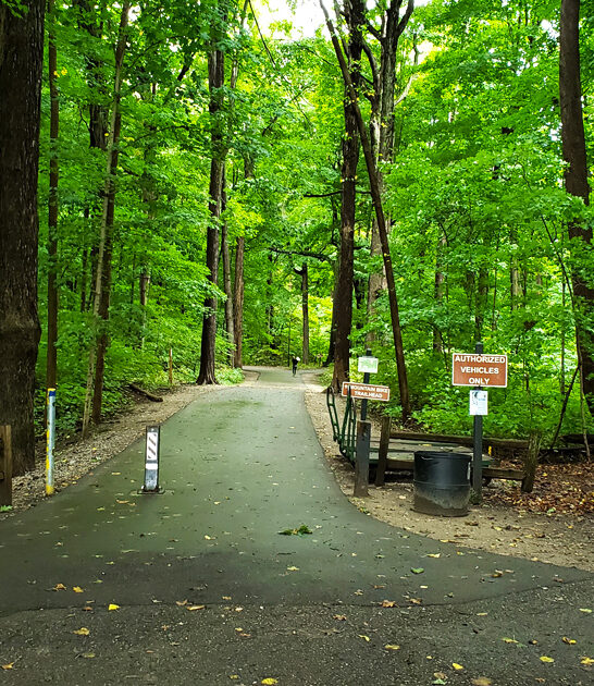 picturesque park michigan state ftr