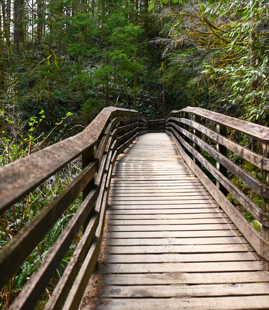 picturesque park washington peaceful ftr