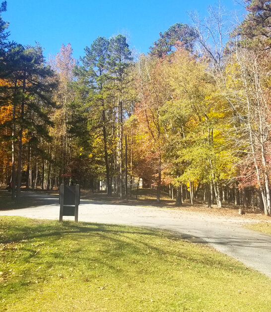 picturesque south carolina stress ftr