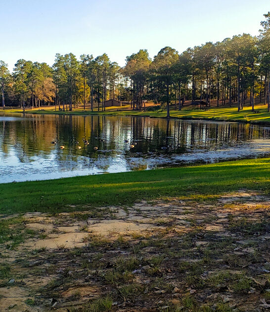 picturesque state mississippi park ftr