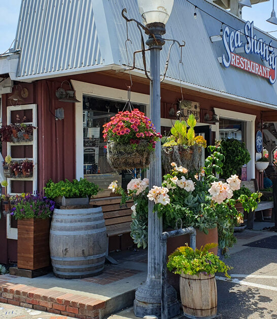 popular funky sandwich california ftr