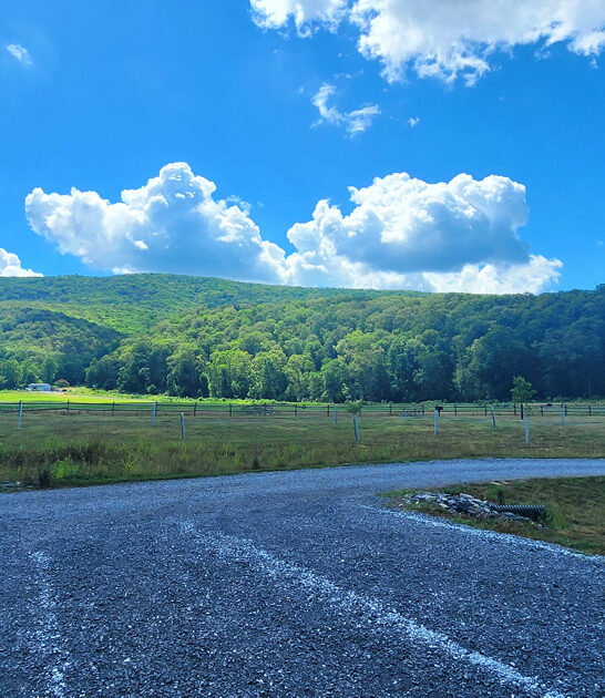popular state park virginia ftr