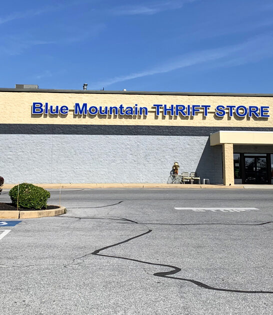 popular thrift stores pennsylvania FTR