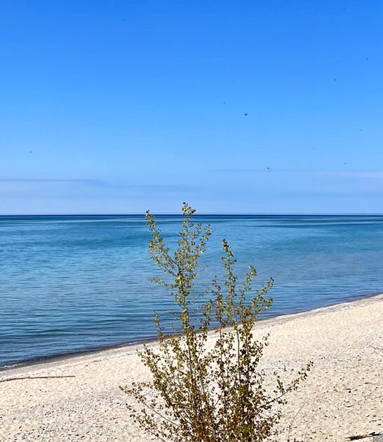 postcard beach michigan secret FTR