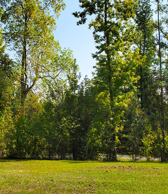 postcard florida nature lovers ftr
