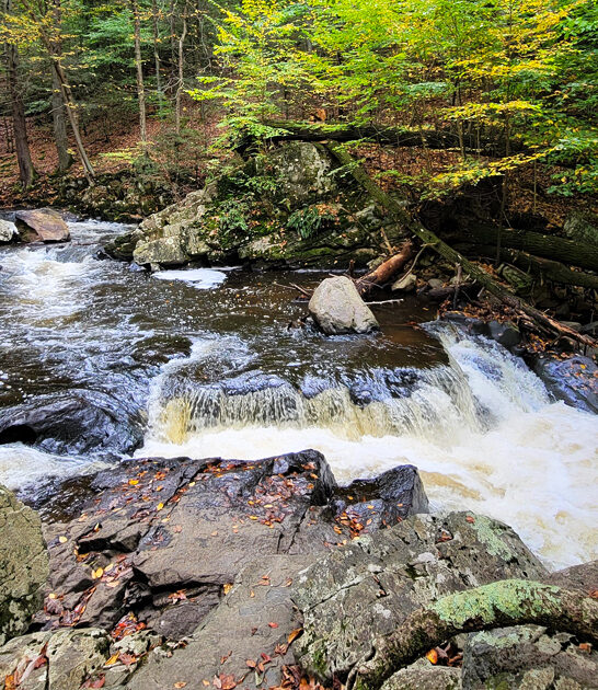 postcard park new jersey ftr