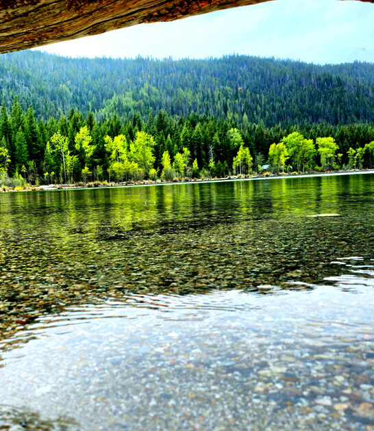 postcard park washington dream ftr