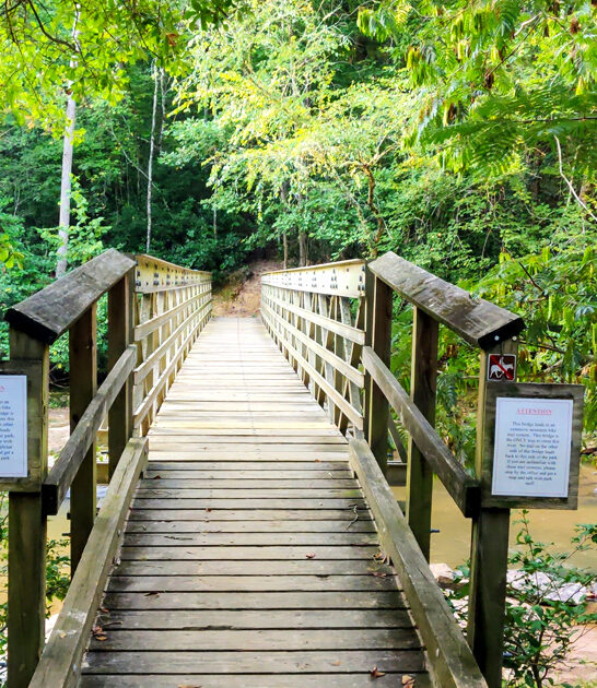 postcard south carolina nature ftr