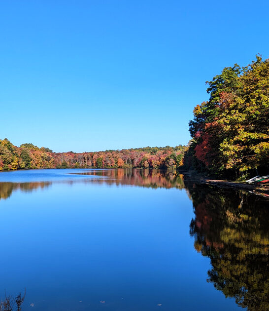 postcard state pennsylvania park ftr
