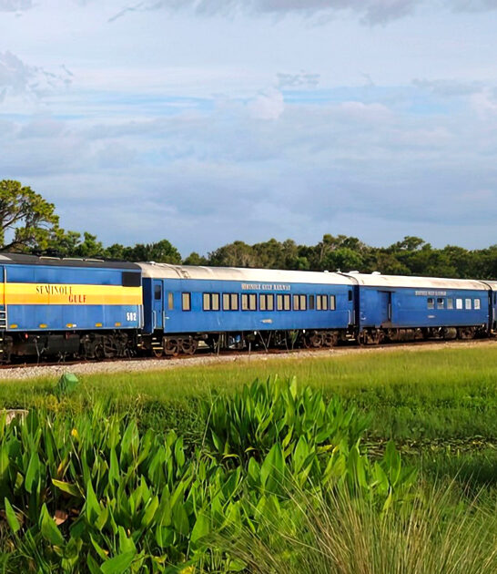 postcard train ride florida FTR