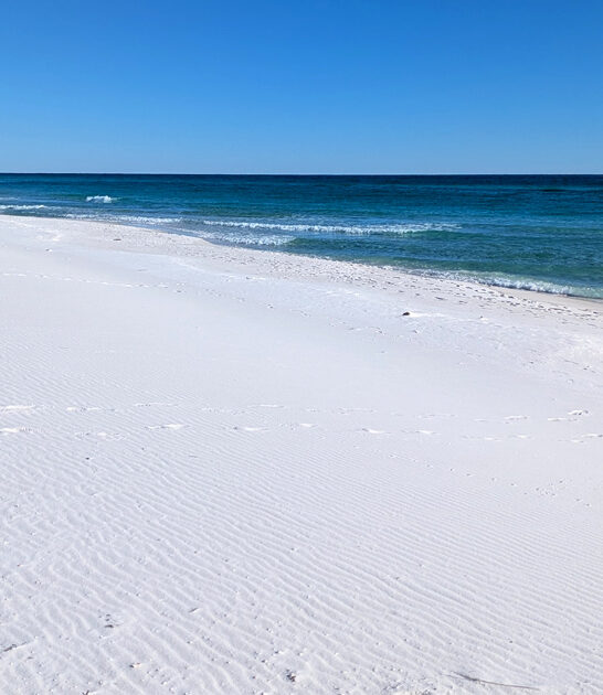 postcard worthy florida beach ftr