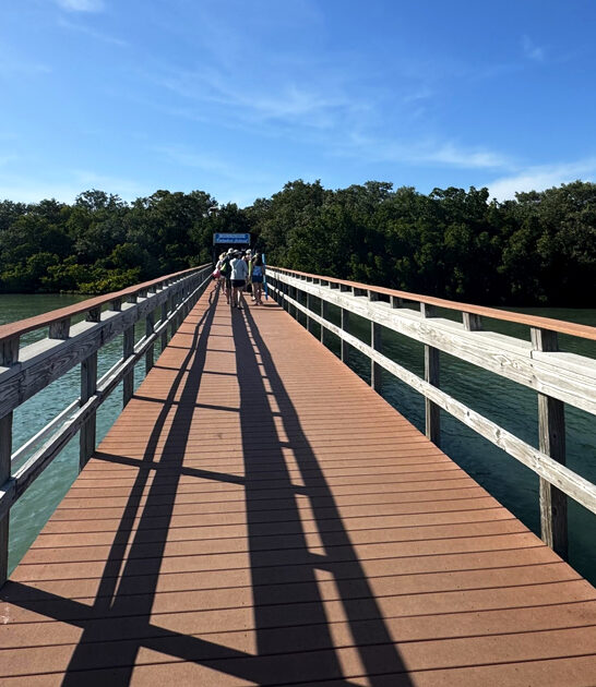 postcard worthy florida nature ftr