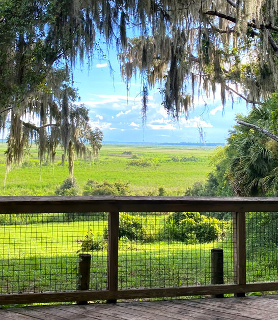 postcard worthy overlook florida ftr