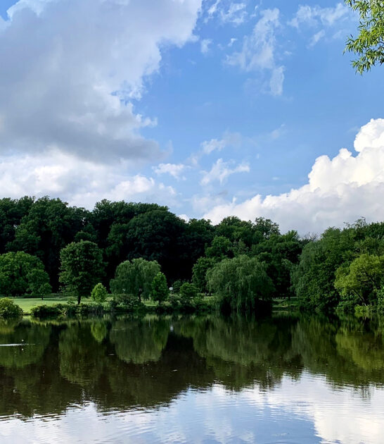 postcard worthy park delaware ftr