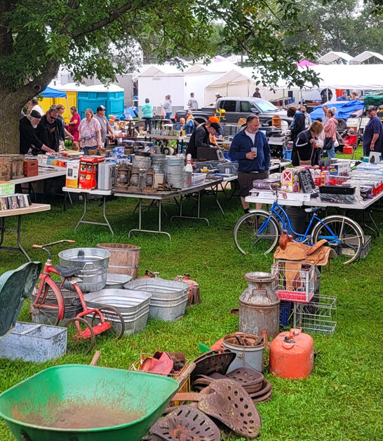 prominent bazaars minnesota ftr