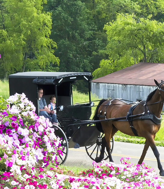 quaint amish towsn ohio ftr