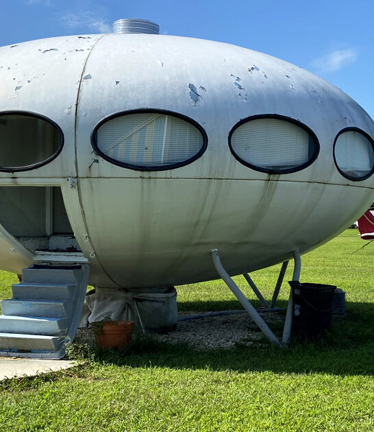 quirky roadside delaware seen ftr