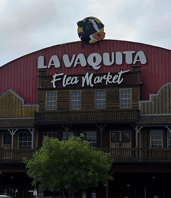 reasonable flea market georgia ftr