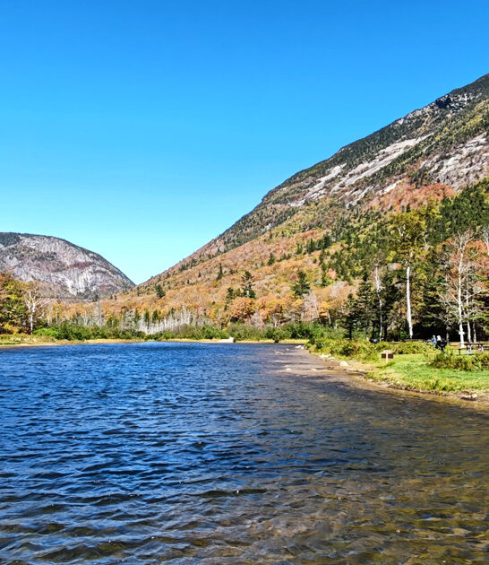 relaxing new hampshire park ftr