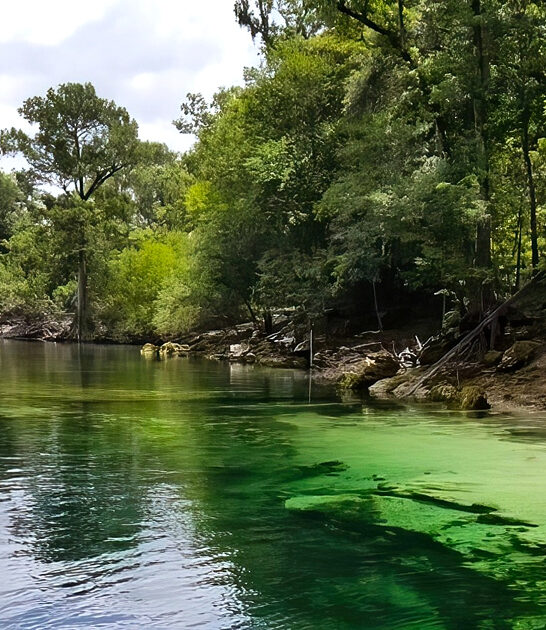 relaxing state park florida ftr