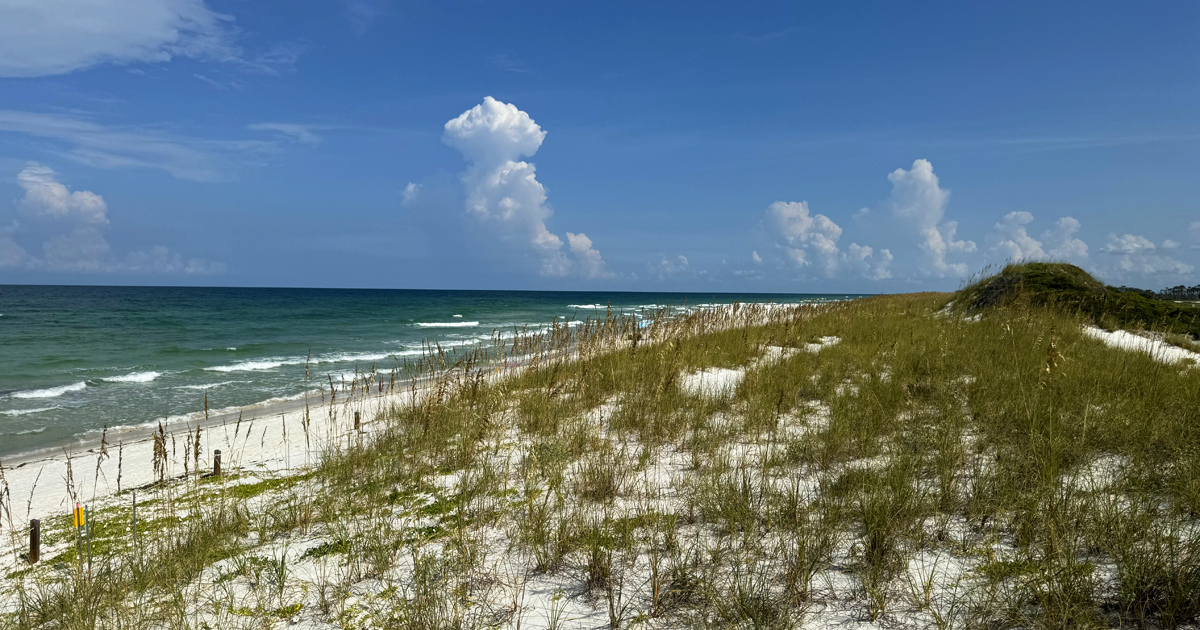 This Remote State Park In Florida Is So Little Known, You’ll Have It ...