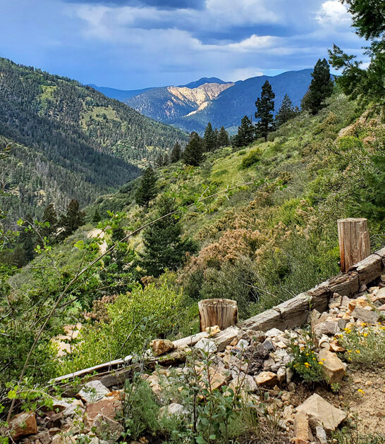 remote park new mexico ftr