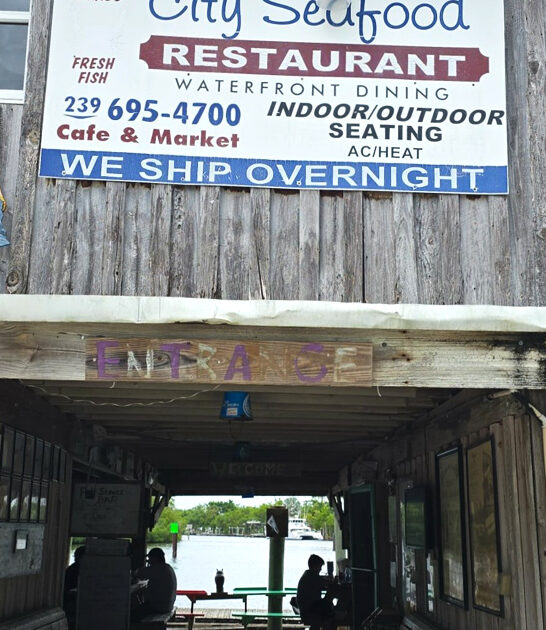 renowned florida fish sandwich ftr