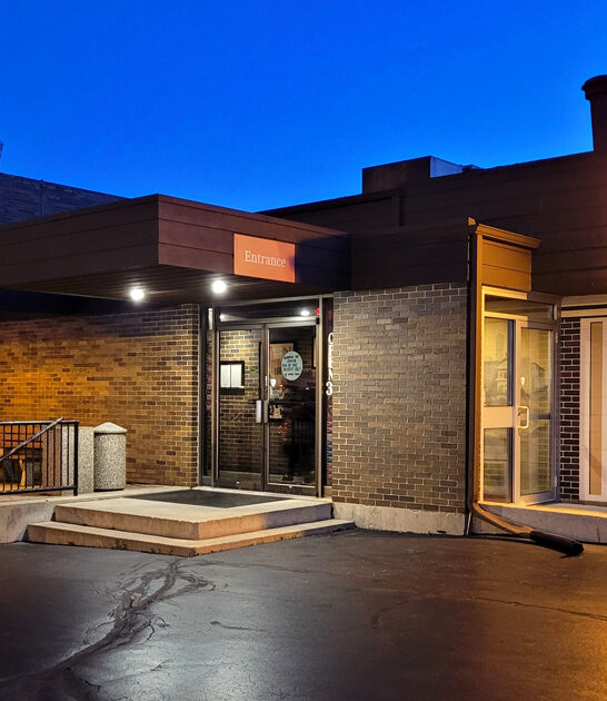 restaurant best pizza illinois ftr
